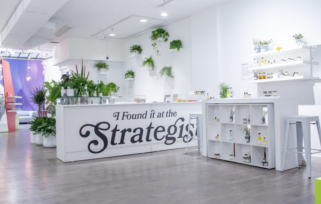 How to Use Plants in Your Pop-Up Store to Make it Pop | Storefront